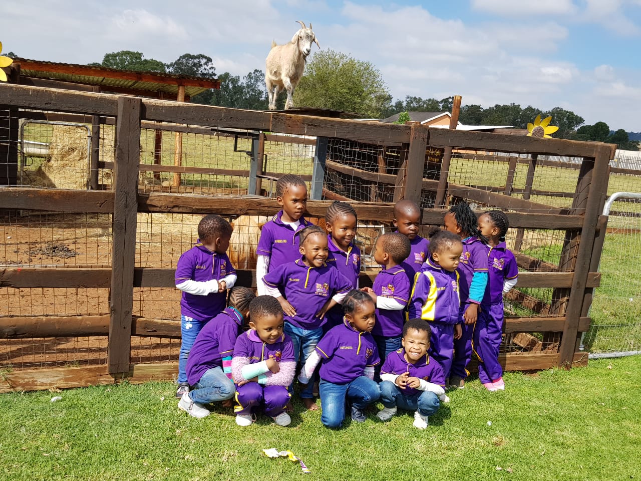 Big Bear Creche - Home