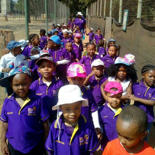 Big Bear Creche - Gallery